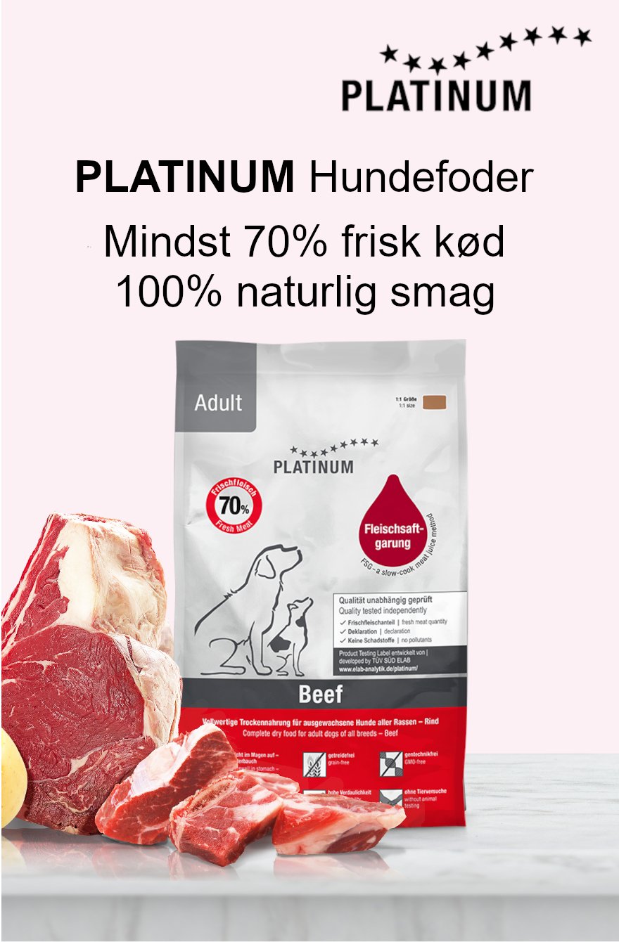 PLATINUM Danmark